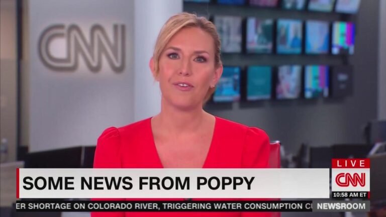 Poppy Harlow Waves Goodbye to CNN After 19 Years: A Career Retrospective